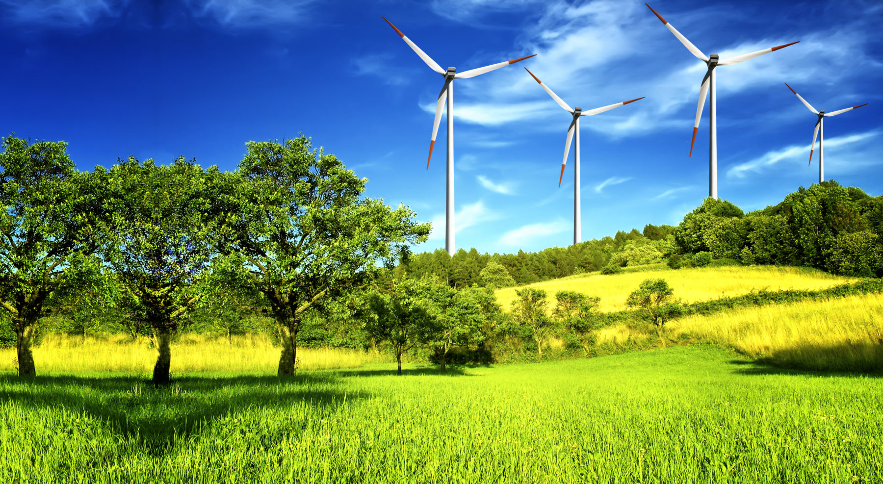 Écologie et environnement – ISTE Editions