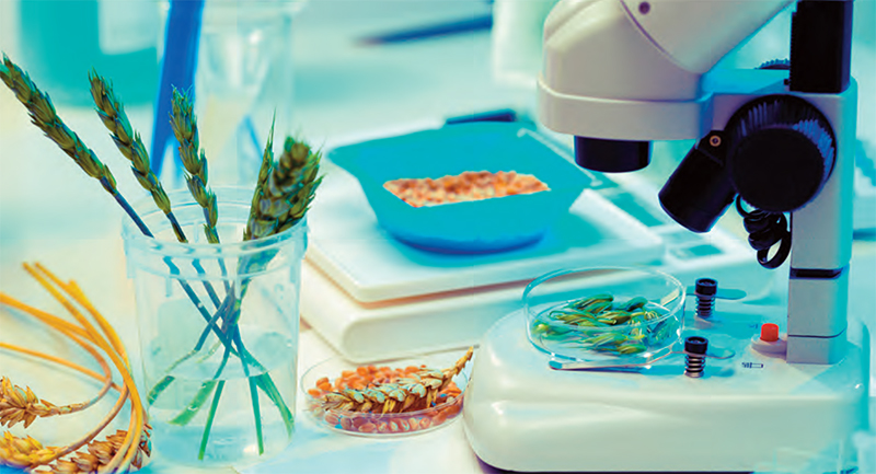 Food Science and Technology – ISTE Editions